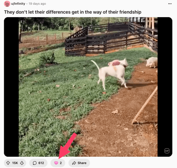 What Are Reddit Awards? - rupvote